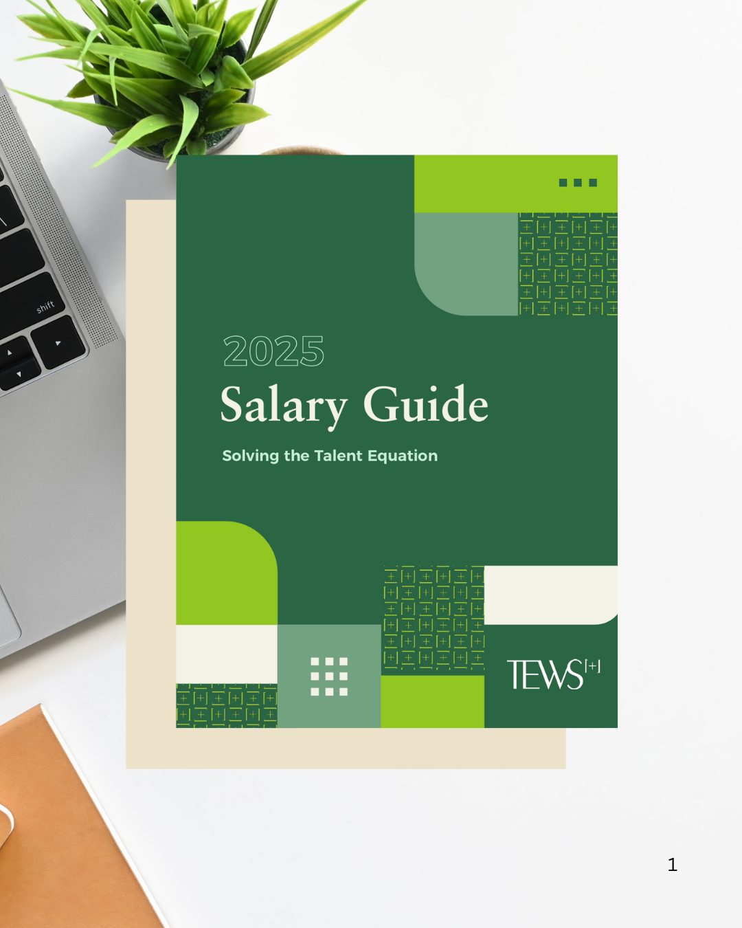 2025 Salary Guide | TEWS